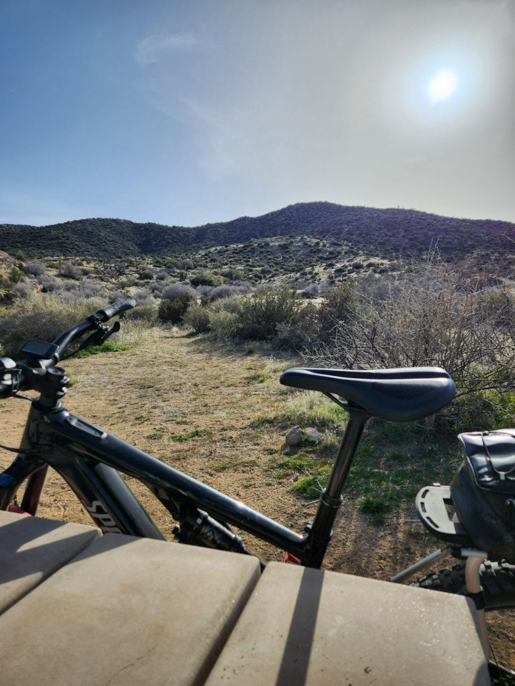 Slice of Life 10 – Noticing All the Senses #sol24 – Dare to Care