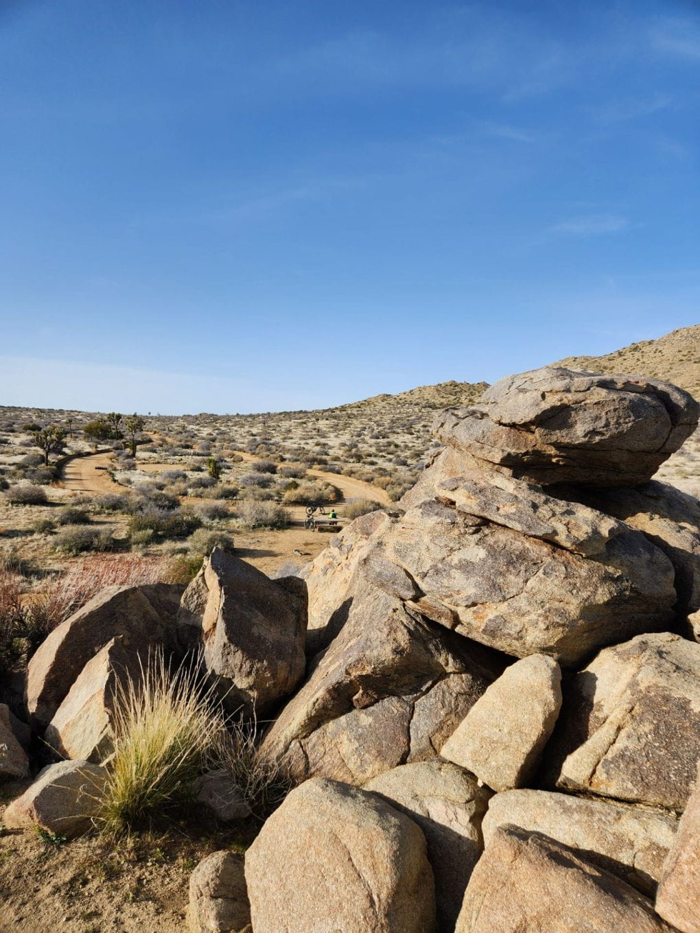 Slice of Life 10 – Noticing All the Senses #sol24 – Dare to Care