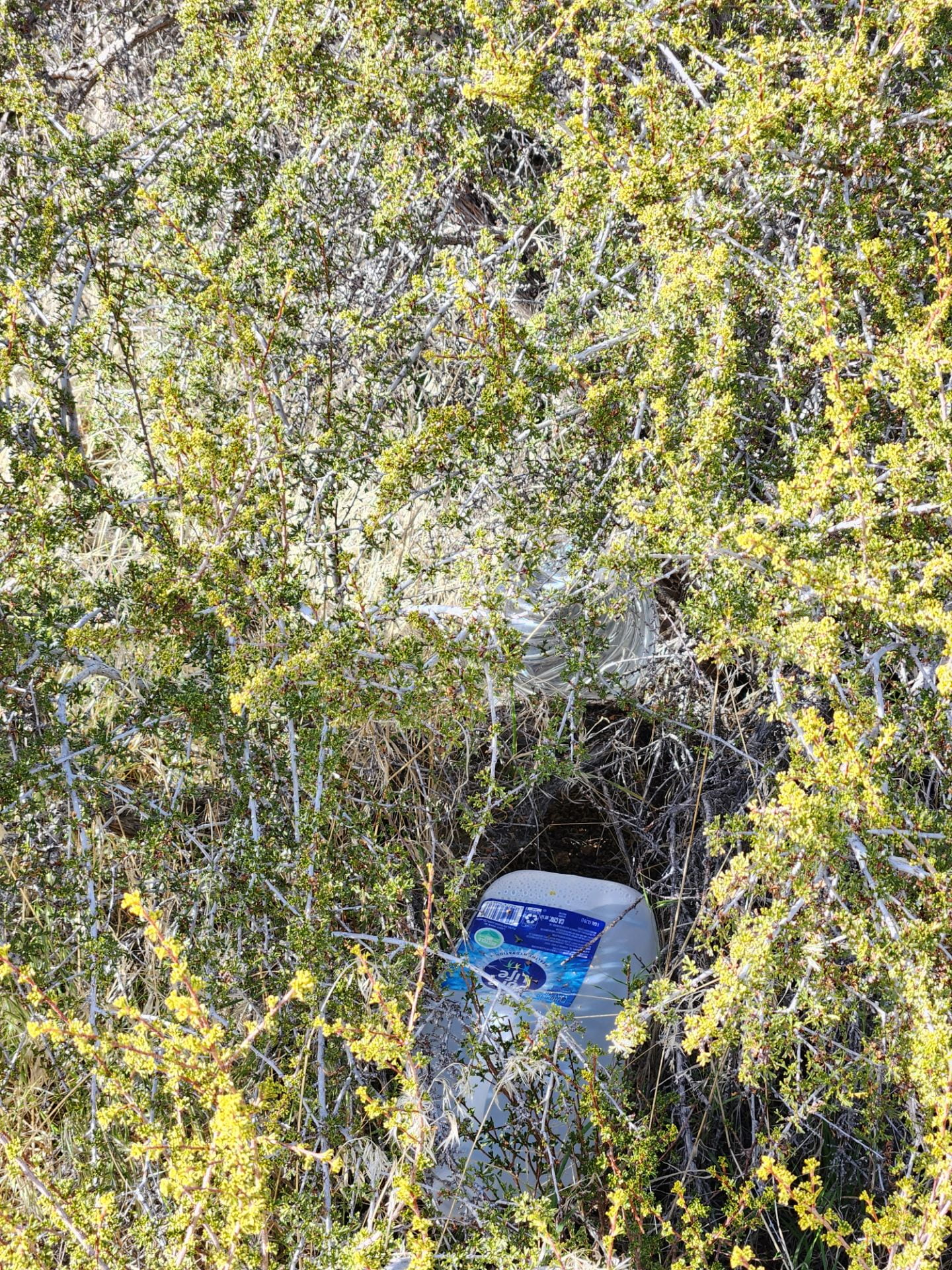 Slice of Life 10 – Noticing All the Senses #sol24 – Dare to Care