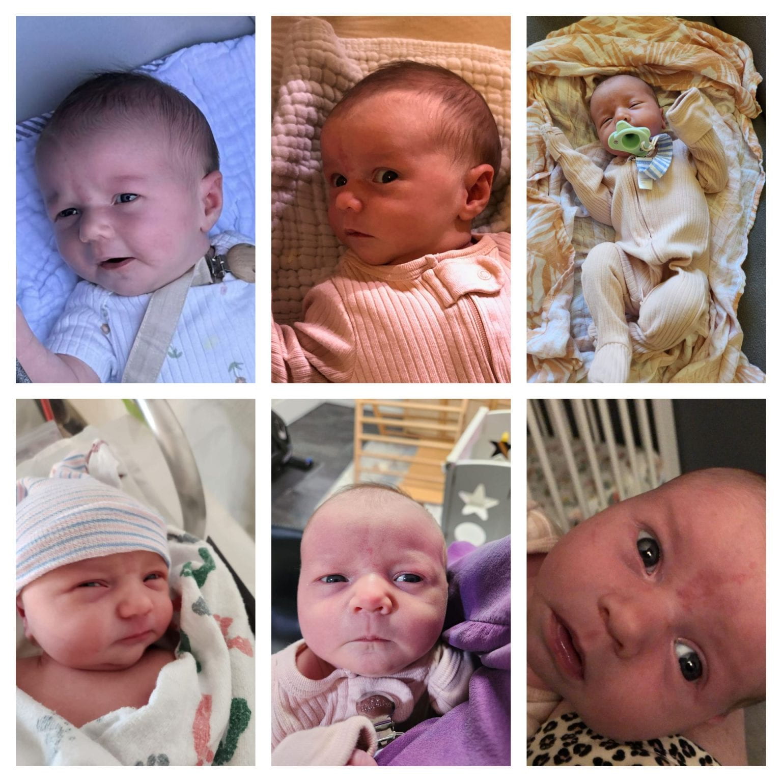 Poetry Friday – Thirteen Ways to See Phoebe – Dare to Care